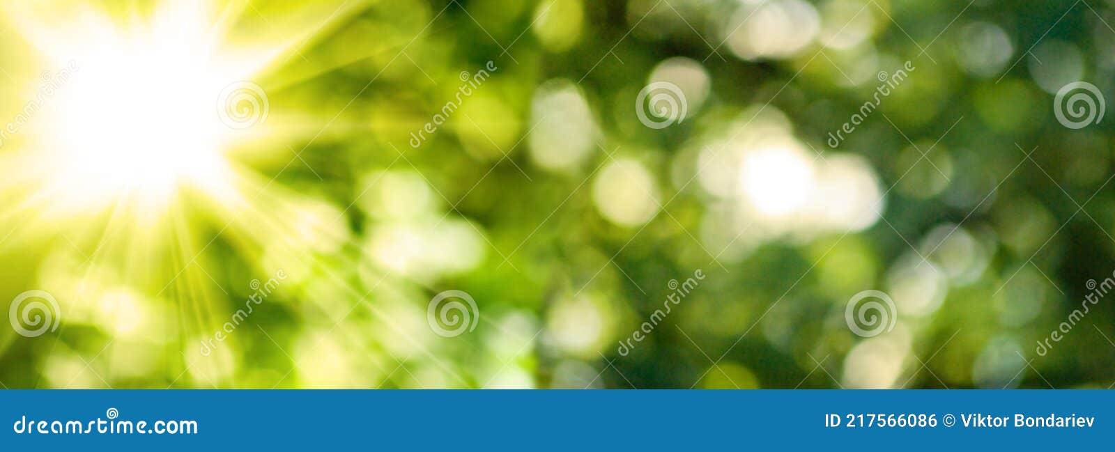 Image of the Sun on a Green Background Stock Photo - Image of macro ...