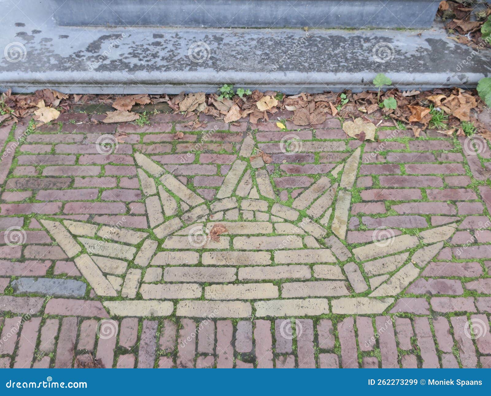 Image of the Sun in Two Colored Bricks Om the Sidewalk in Front of a ...