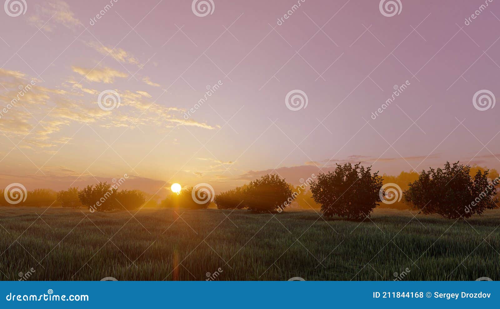 Sunset in the forest stock illustration. Illustration of nature - 211844168
