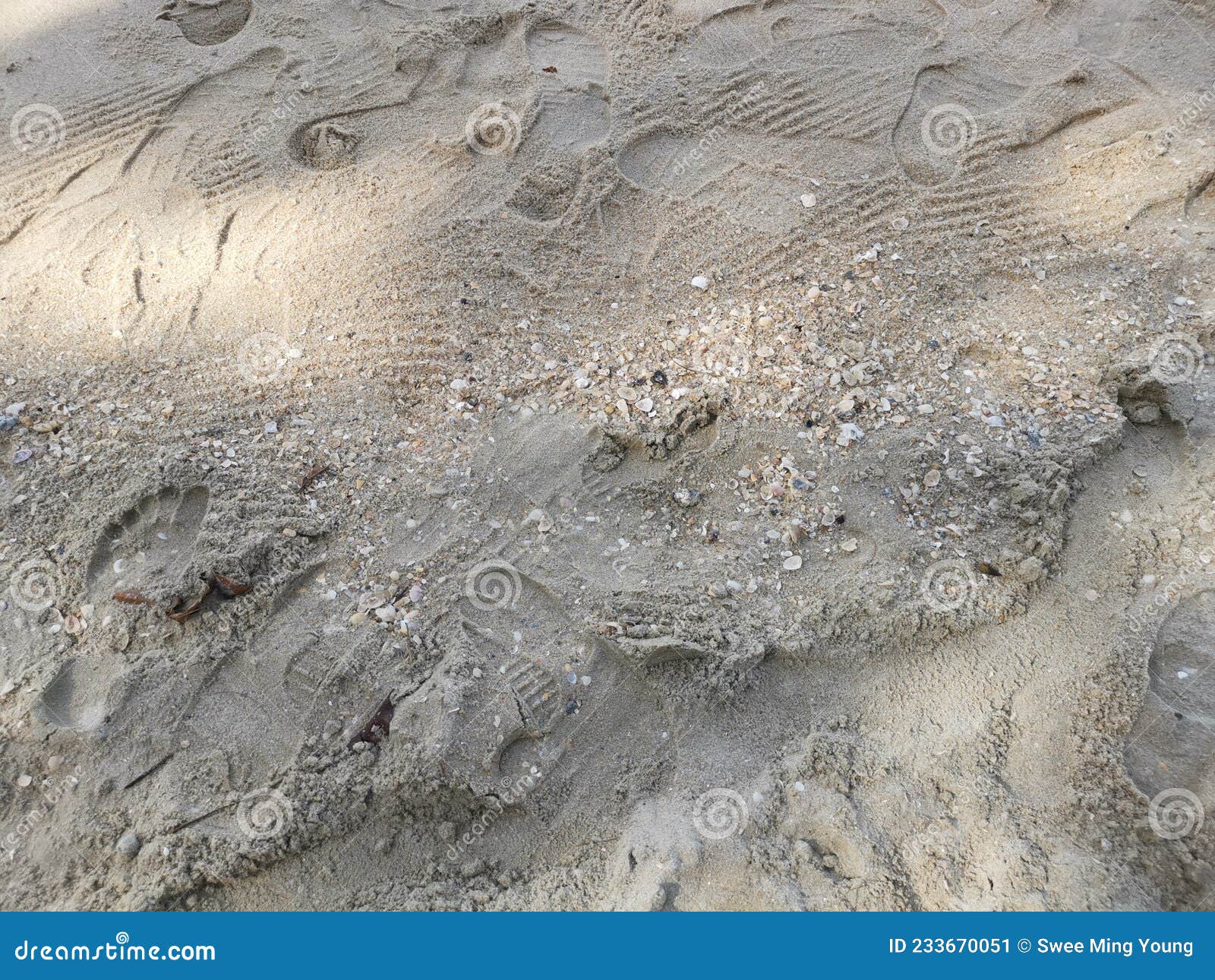 Surface Scene of the Brown Sandy Beach. Stock Image - Image of relax ...
