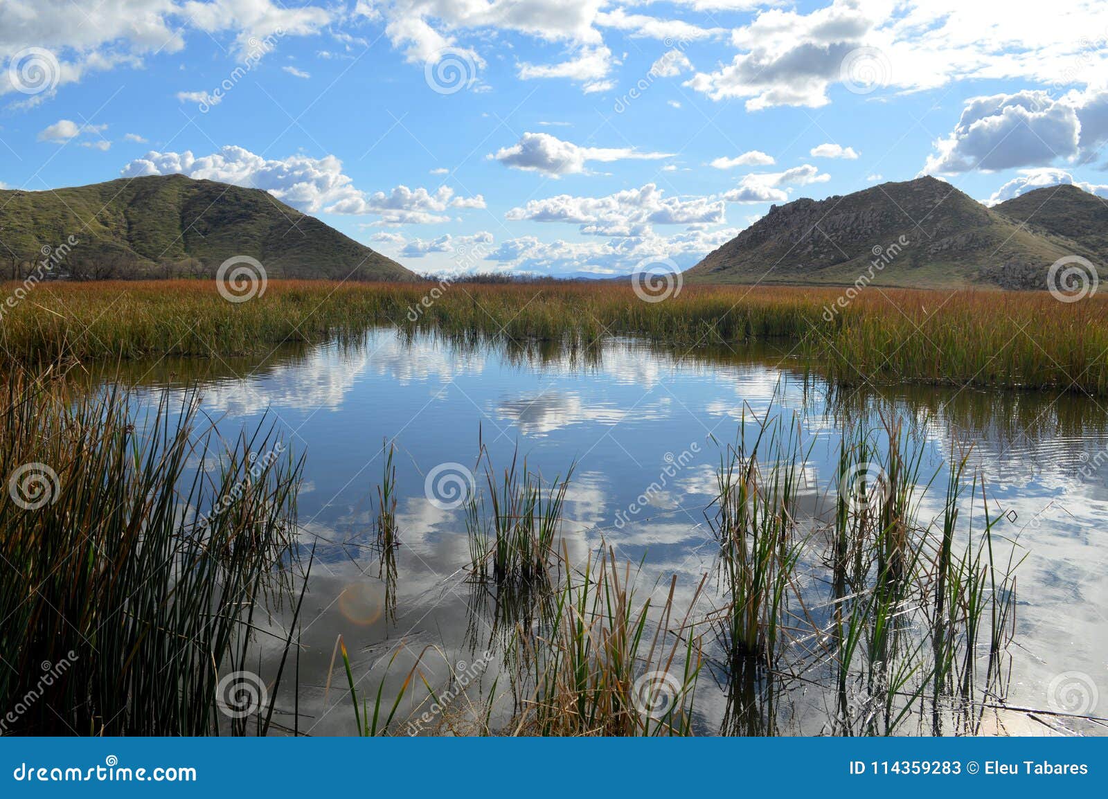 Swamp & Reflection of Clouds on Water Stock Image - Image of swamp ...