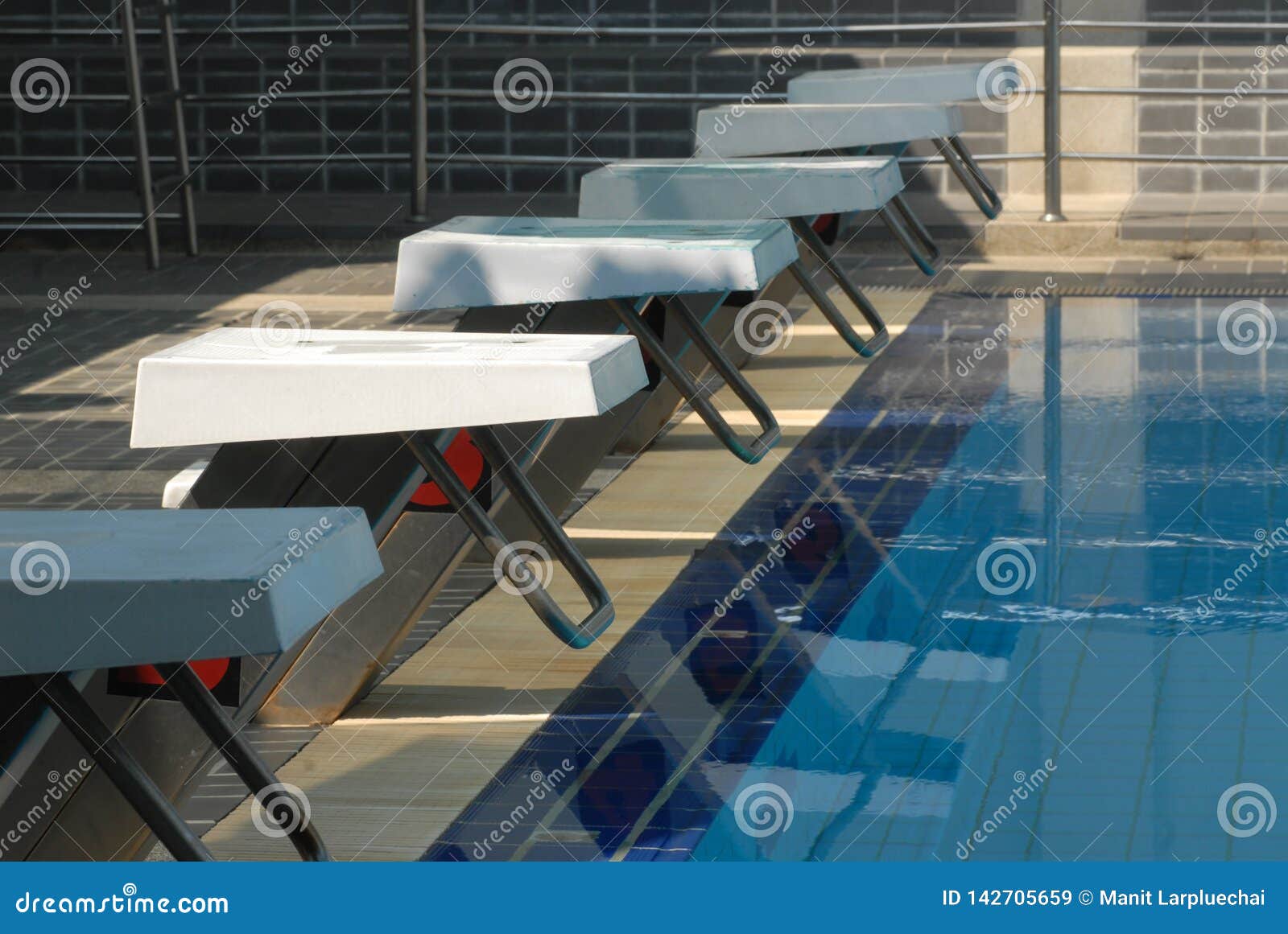 Image of Swimming Pool with Starting Blocks. Stock Image - Image of ...
