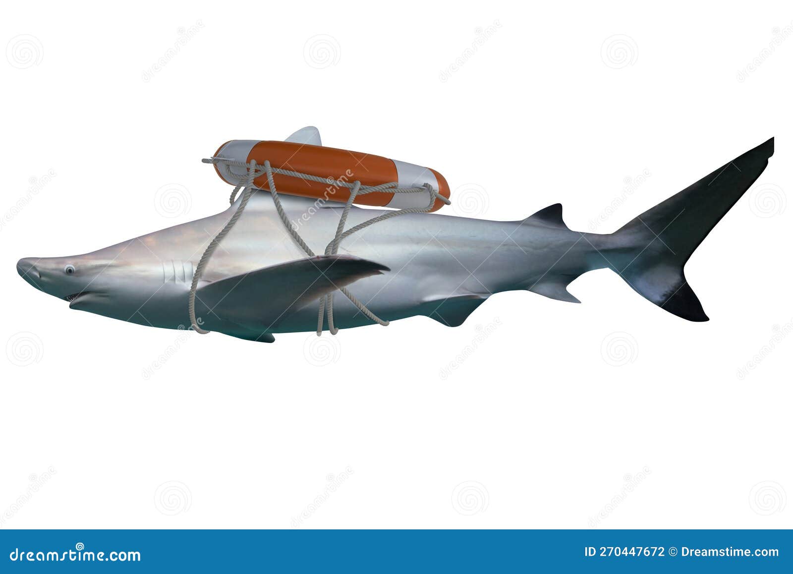 Shark, Sea Predator, Ocean Animal, Marine Life, Apex Predator Png ...