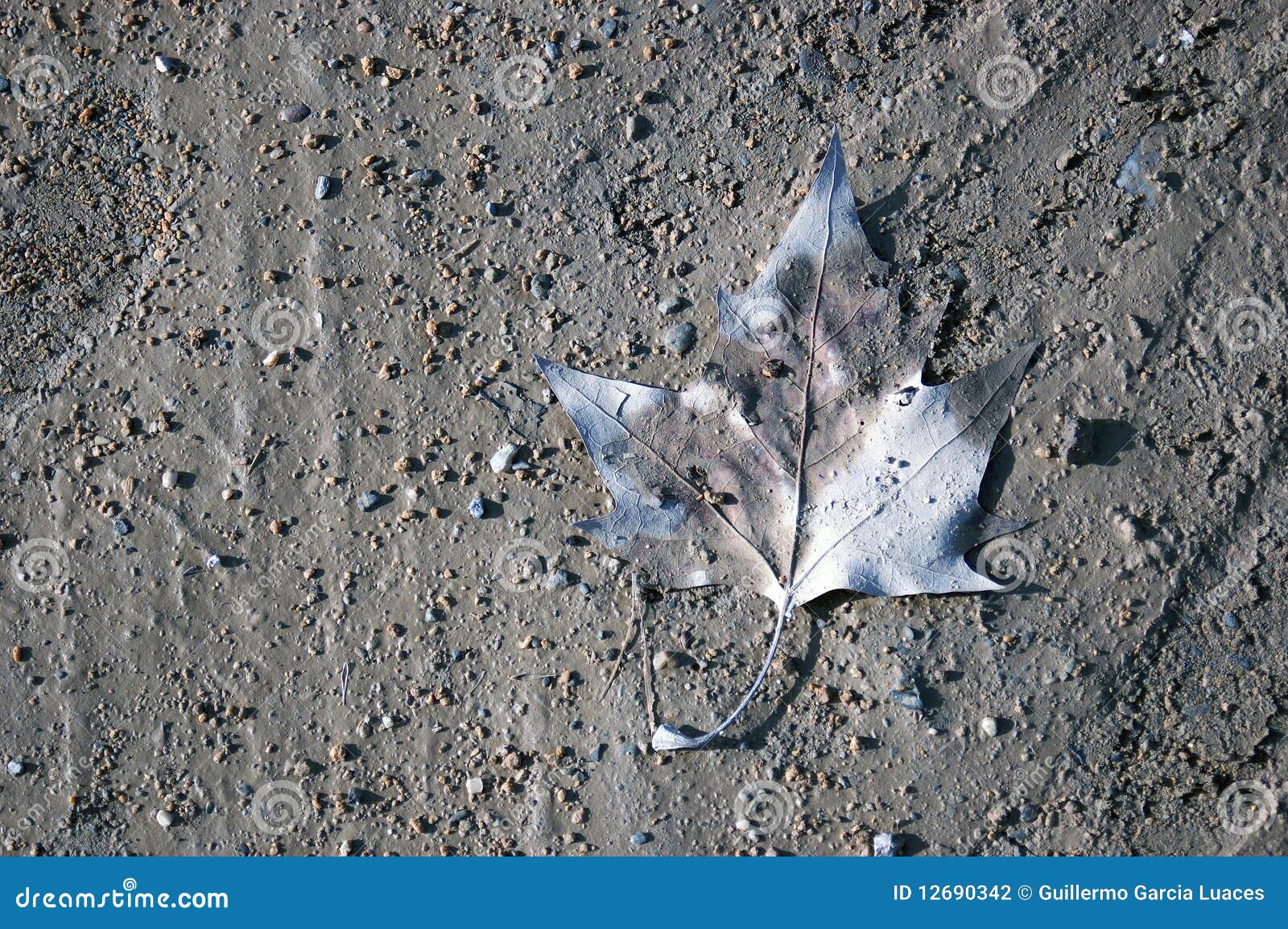 Image Texture for Backgrounds in Natural Materials Stock Photo - Image ...