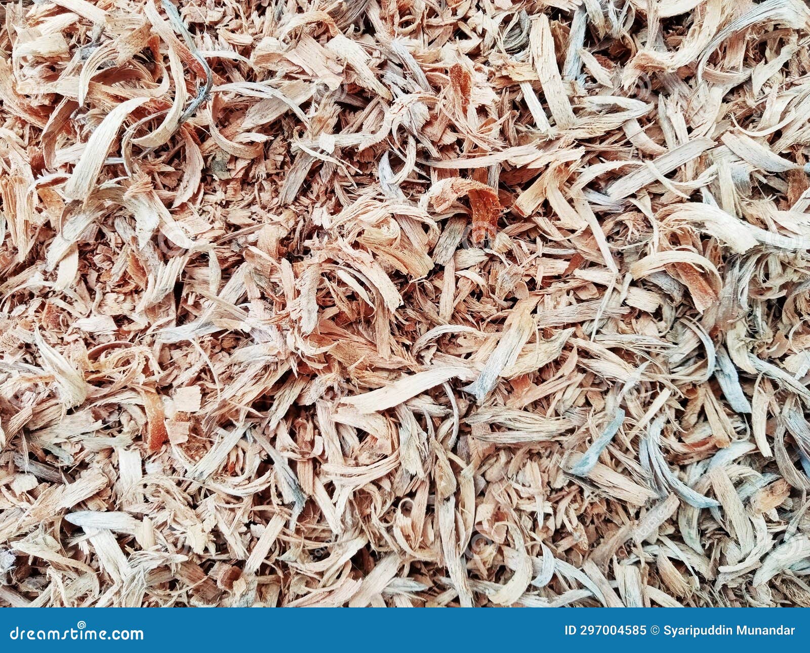 Image of the Texture of Chopped Wood Dust Left Over from Cutting Down ...