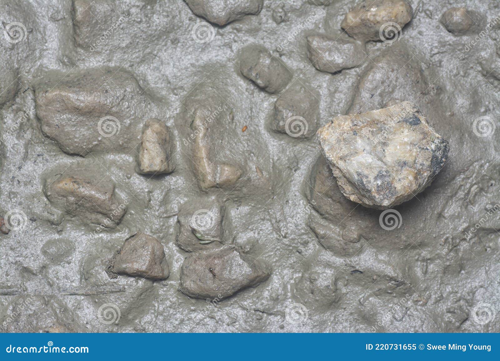 Texture of the Muddy Gravel Surface Stock Image - Image of pebble, dirt ...