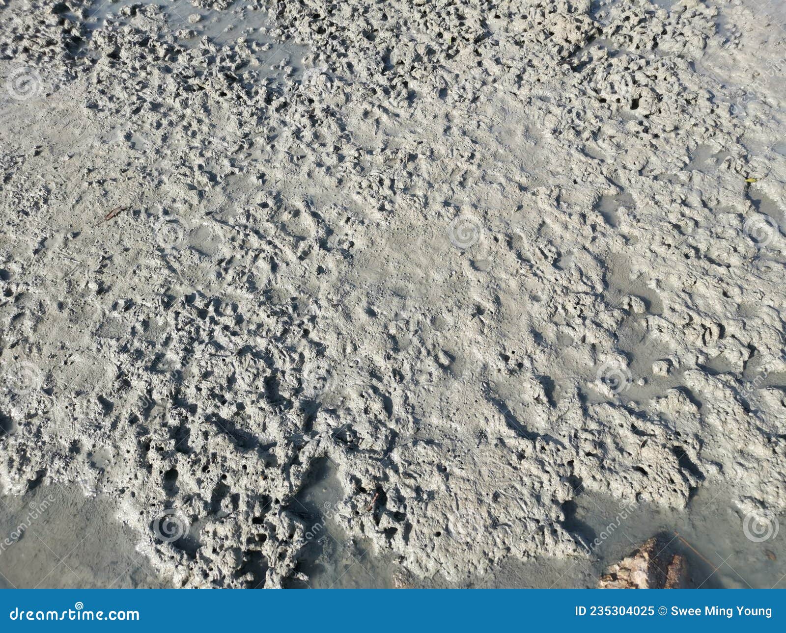 Texture Of The Muddy Gravel Surface Royalty-Free Stock Photography ...