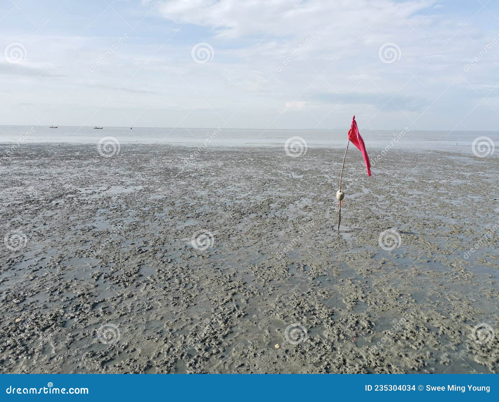 Texture of the Muddy Swamp Surface Stock Photo - Image of marine, beach ...