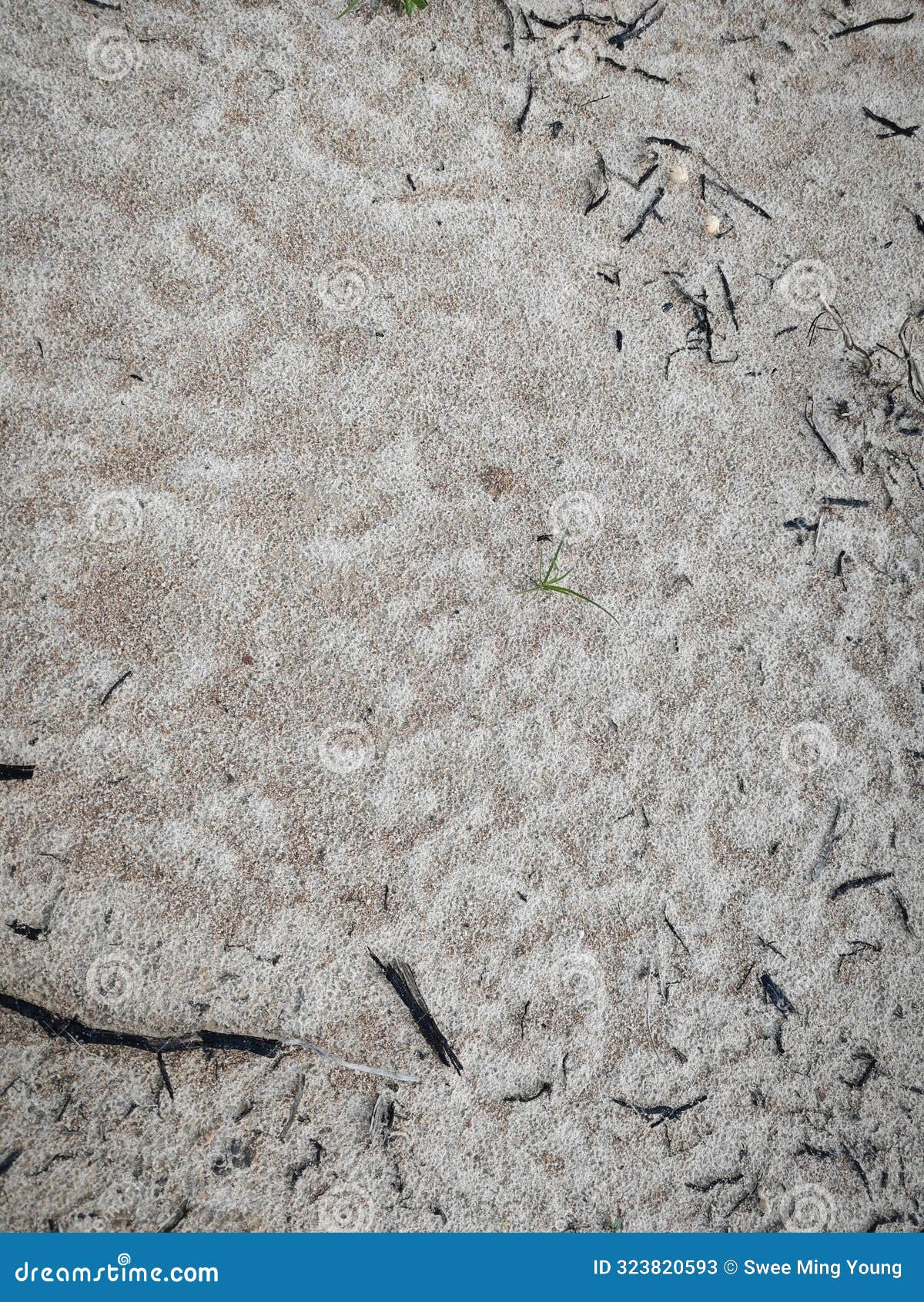 The Texture of the Surface Soil Exposes To Erosion. Stock Image - Image ...
