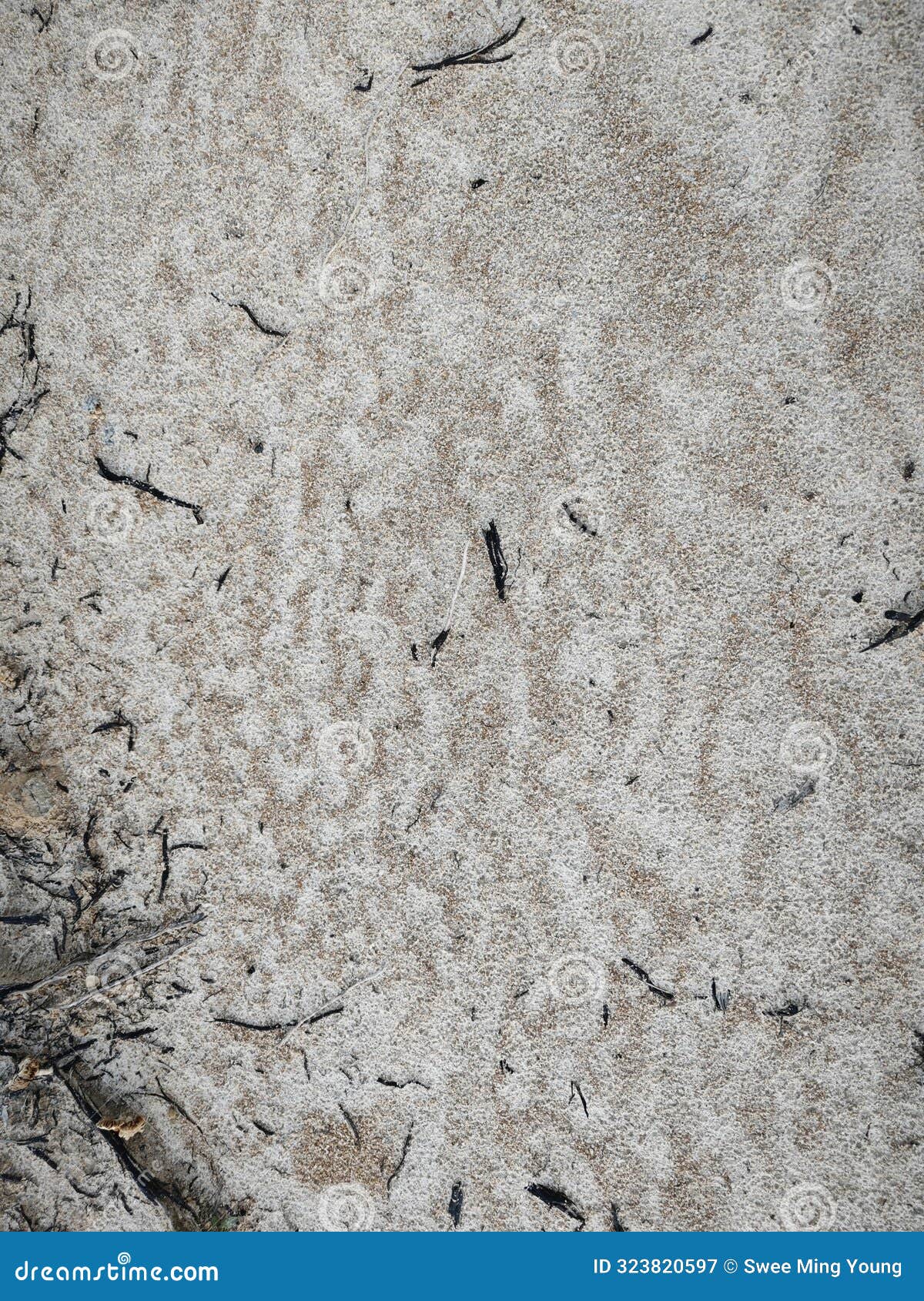 The Texture of the Surface Soil Exposes To Erosion. Stock Image - Image ...