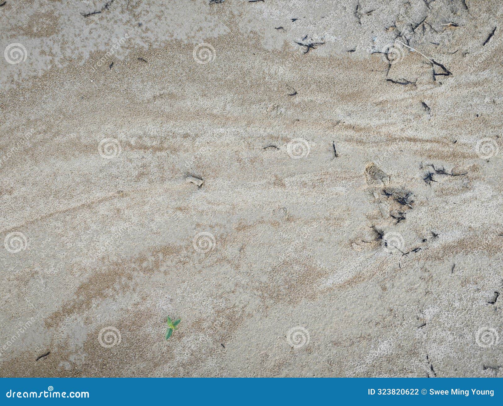The Texture of the Surface Soil Exposes To Erosion. Stock Photo - Image ...