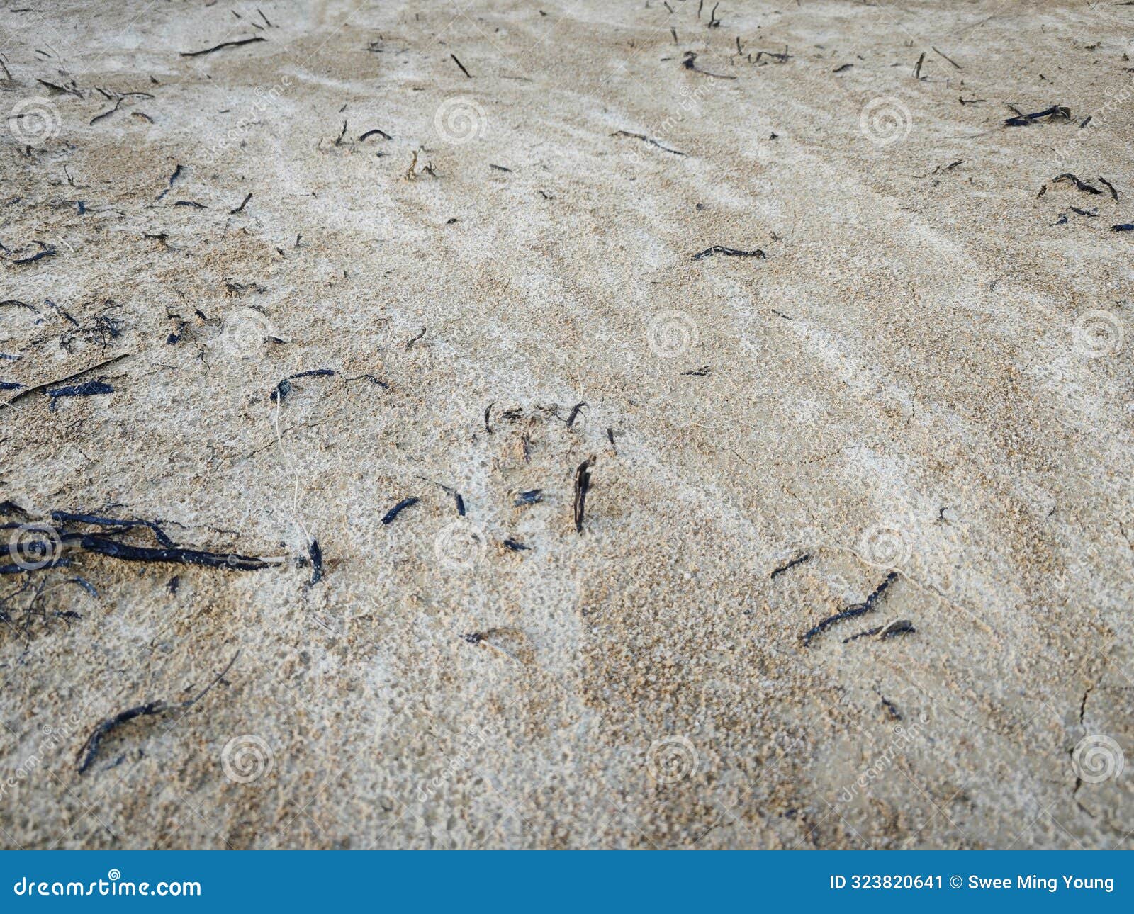 The Texture of the Surface Soil Exposes To Erosion. Stock Image - Image ...