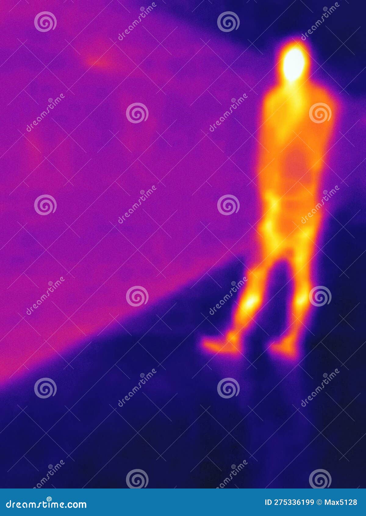 The Image from Thermal Imager Device Stock Image - Image of ecology ...