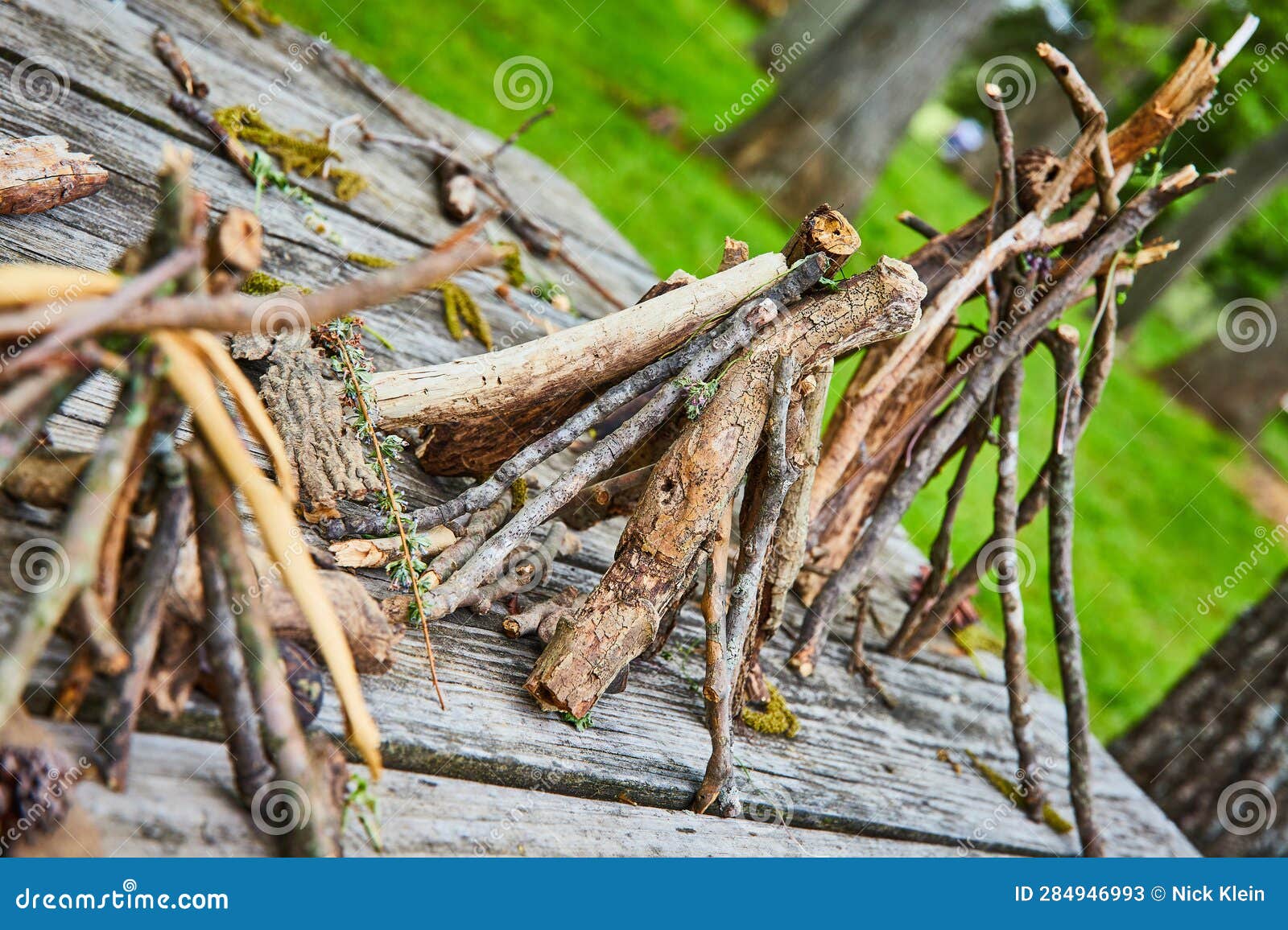 Tilted View of Picnic Table Wood in a Park with Tree Trunks Covered in ...
