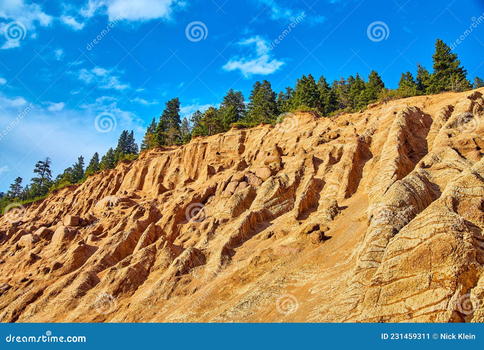 Top of Mountain Peak with Wavy Rocks and Layer of Pine Trees Stock ...