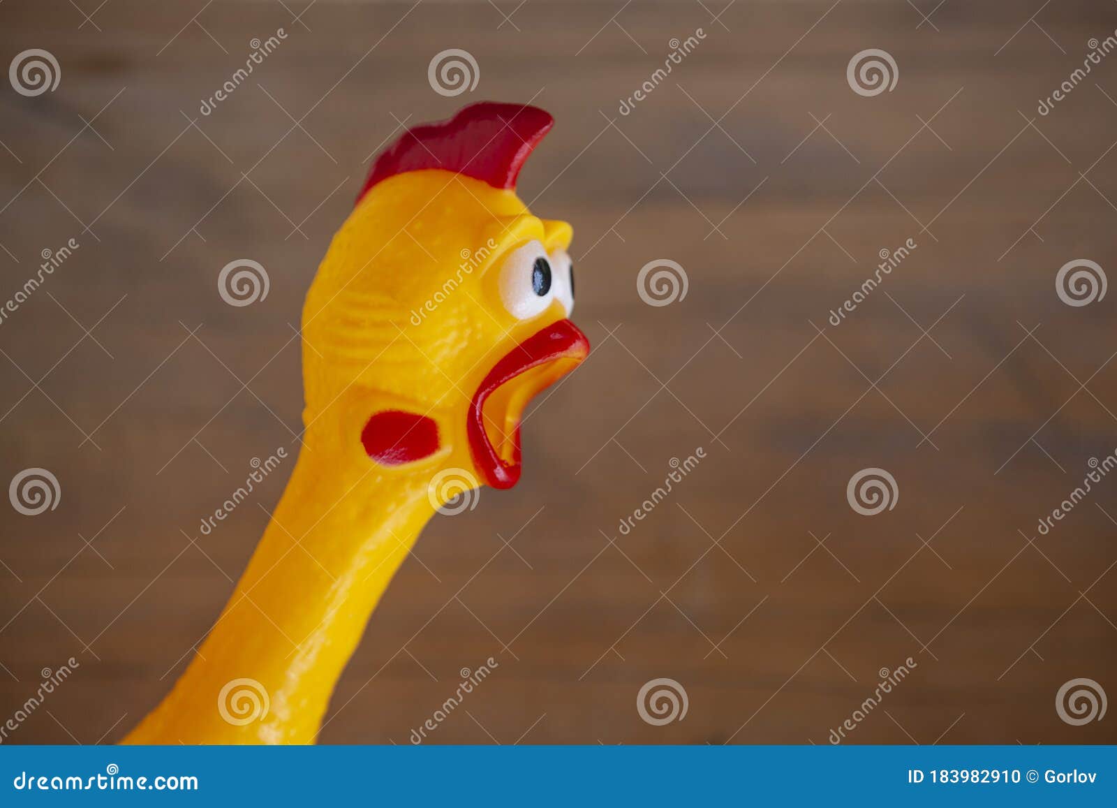 Image of Toy Rubber Chicken Stock Photo - Image of humour, humorous ...