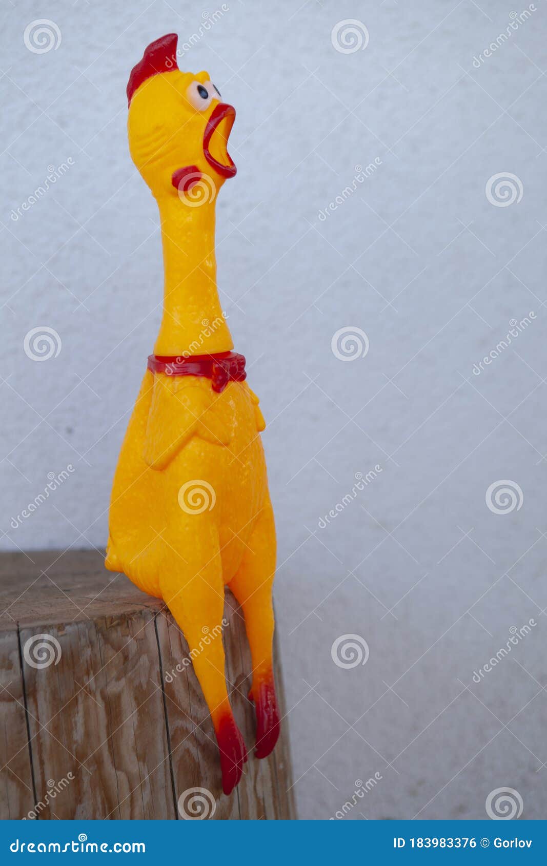 Image of Toy Rubber Chicken Stock Photo - Image of light, animal: 183983376