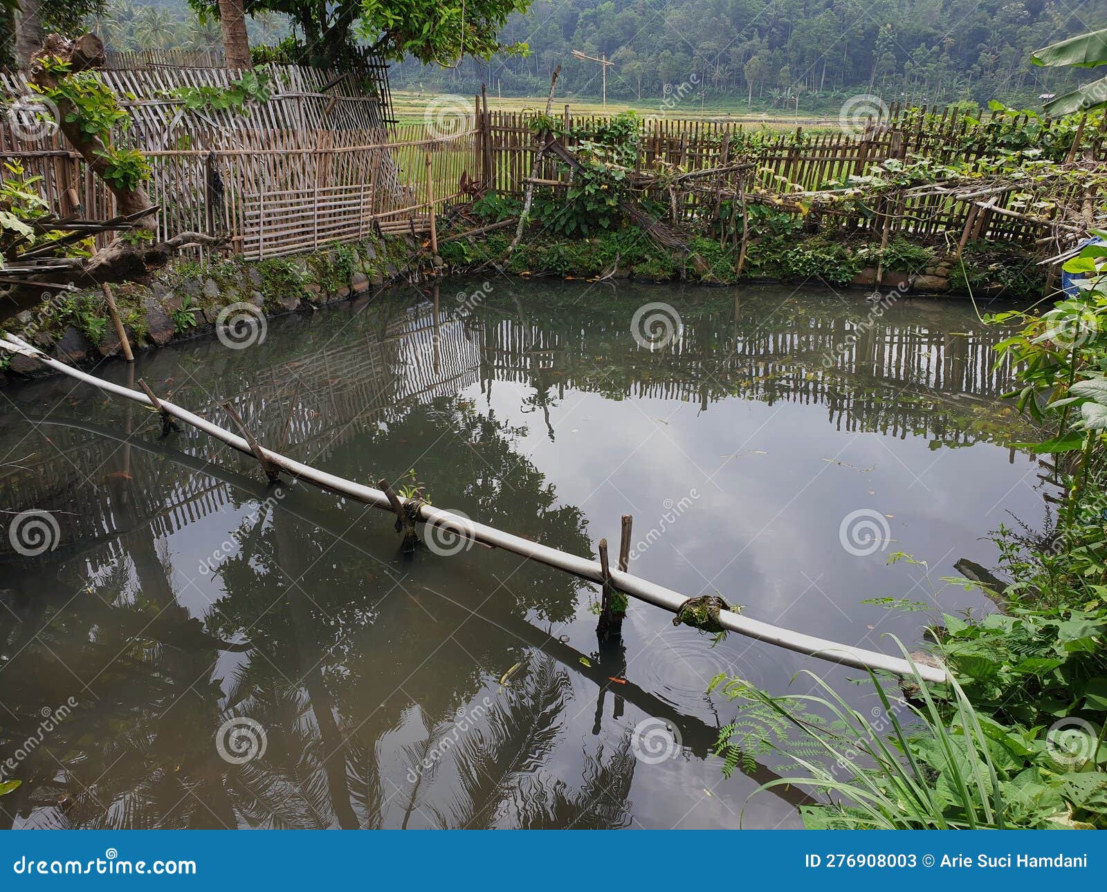 Image of Traditional and Water Irigation in Garut, West Java, Indonesia ...