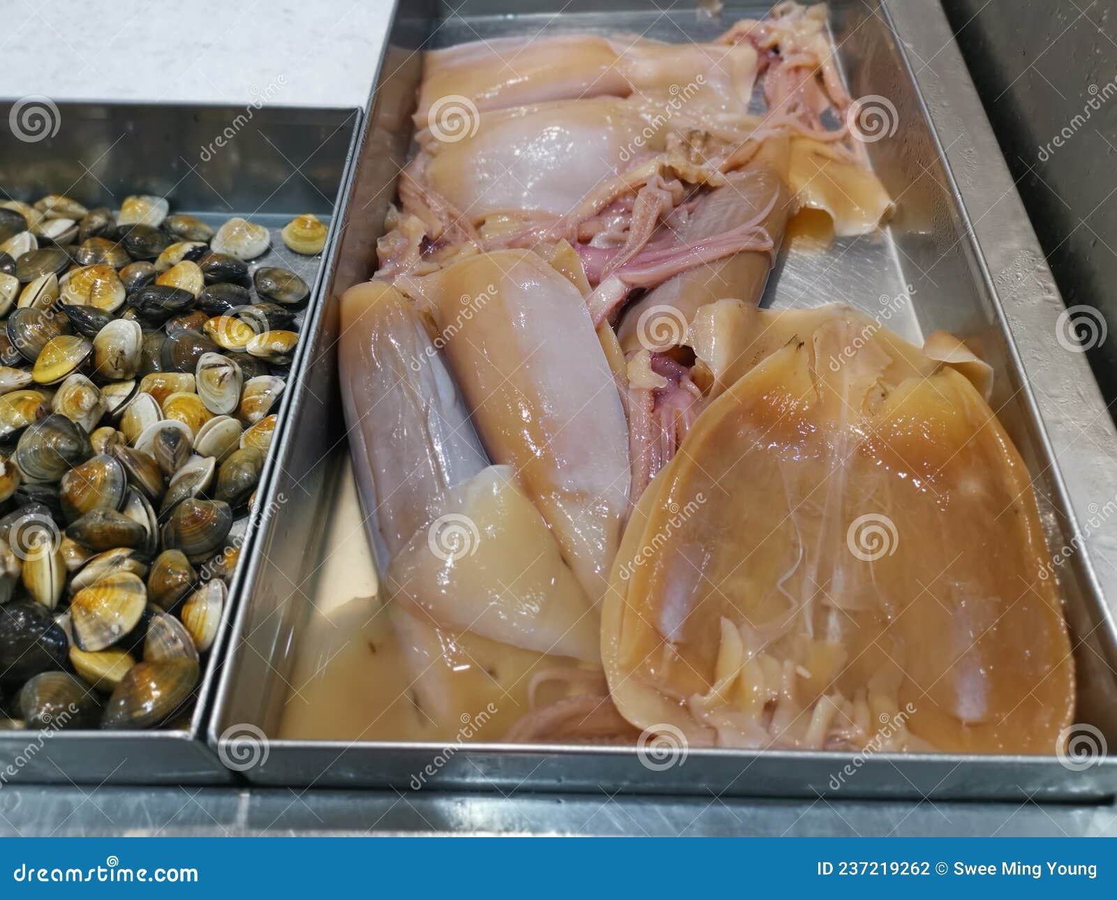 Tray of Fresh Pickled Squid Stock Photo - Image of gourmet, asia: 237219262