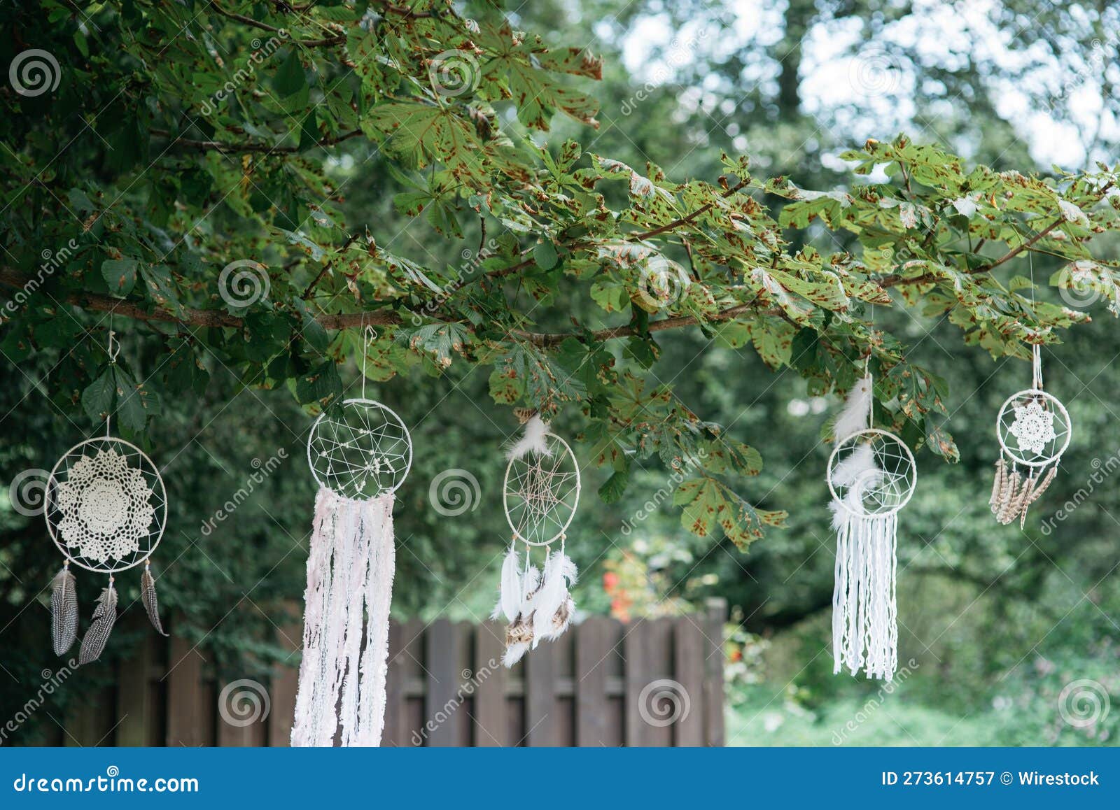 A Bunch of White Dream Catchers Hanging from a Tree Stock Image - Image ...