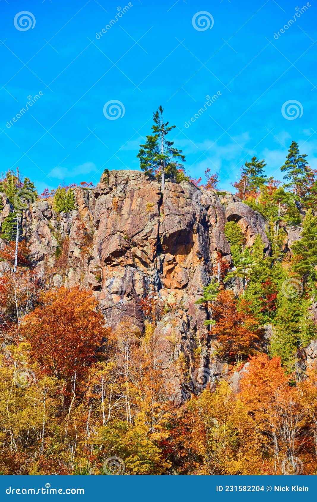 Tree Atop Tall Cliff with Fall Colors in the Trees at the Cliff S Base ...