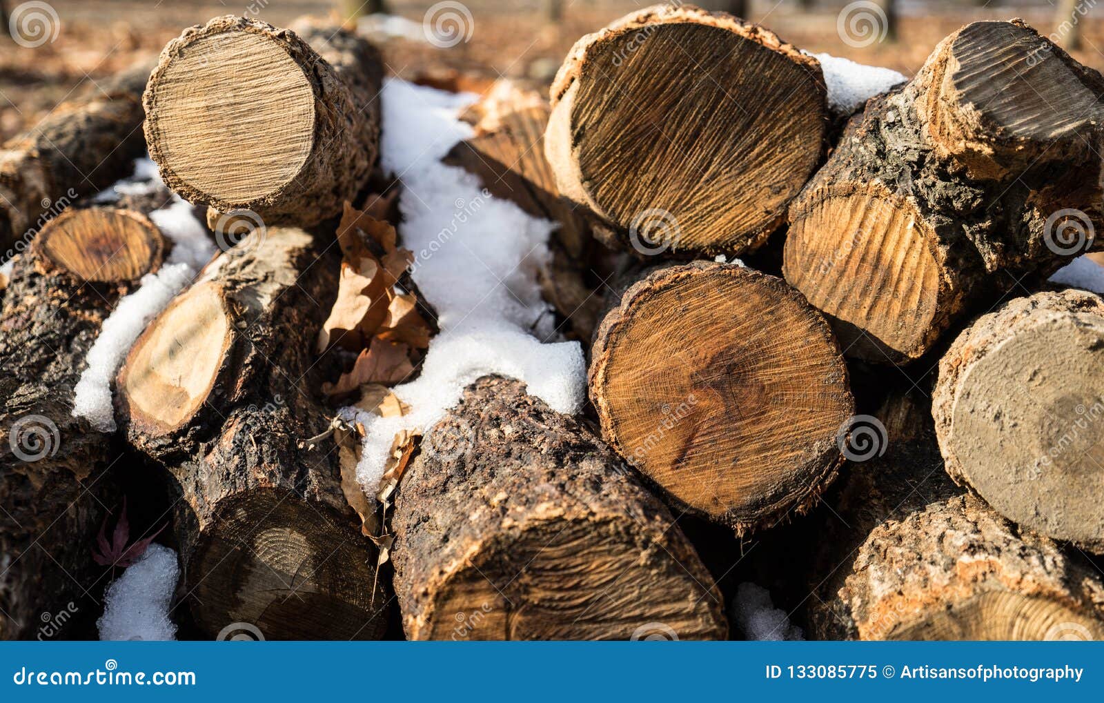 Tree logs in snow stock image. Image of pattern, wood - 133085775