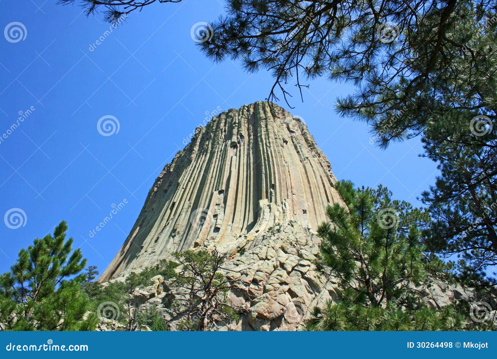 Devil s Tower and trees stock photo. Image of formation - 30264498