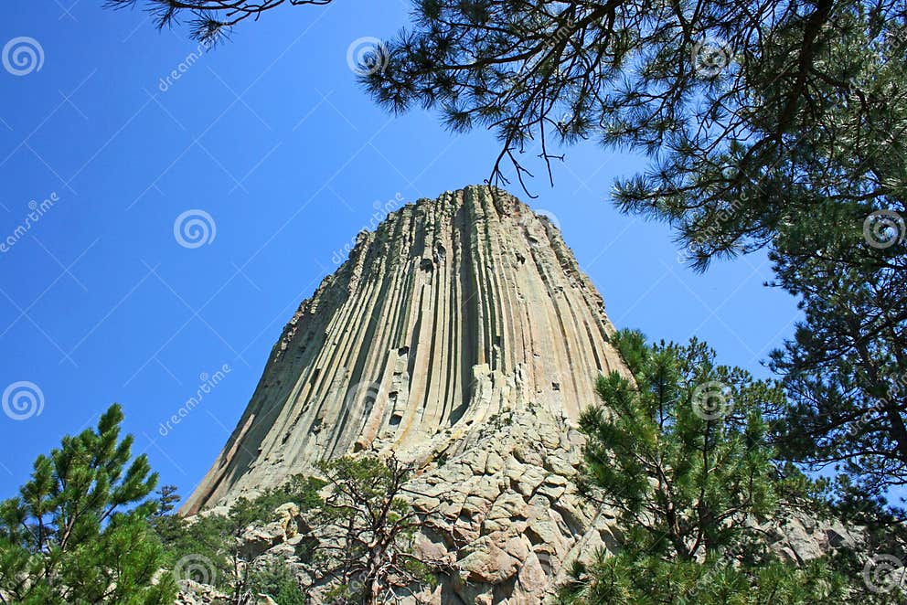 Devil s Tower and trees stock photo. Image of formation - 30264498