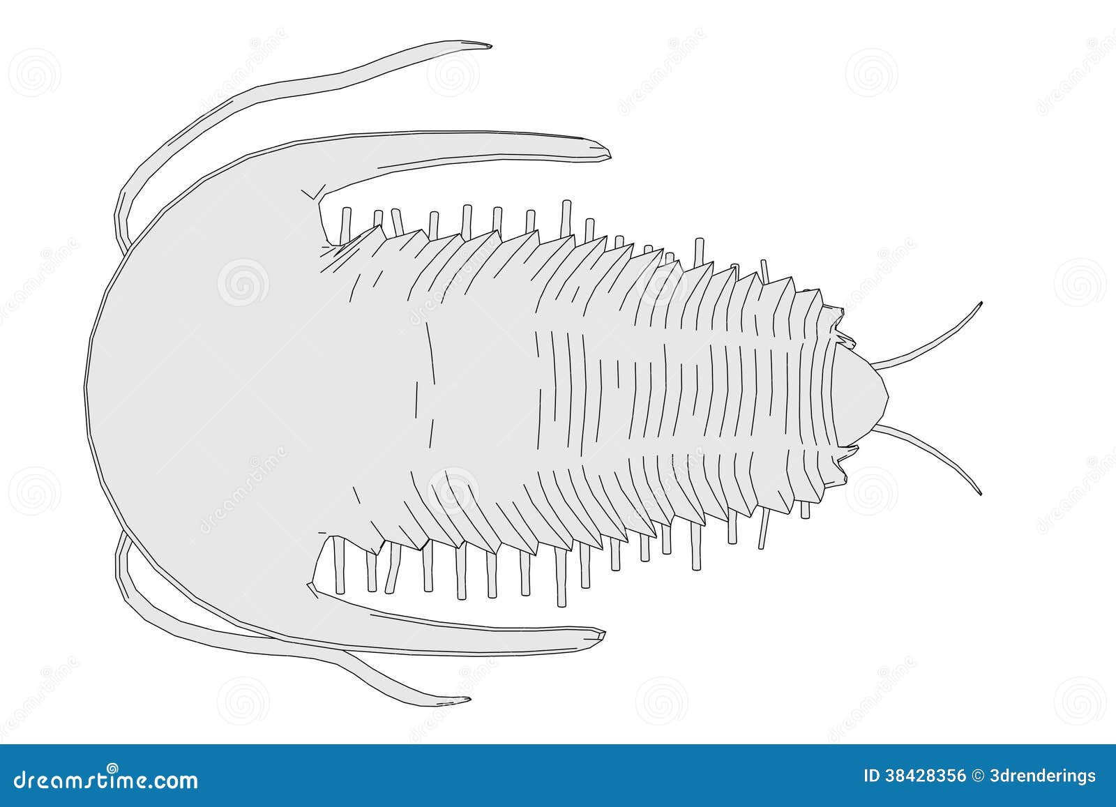 Image of trilobite animal stock illustration. Illustration of sketch ...