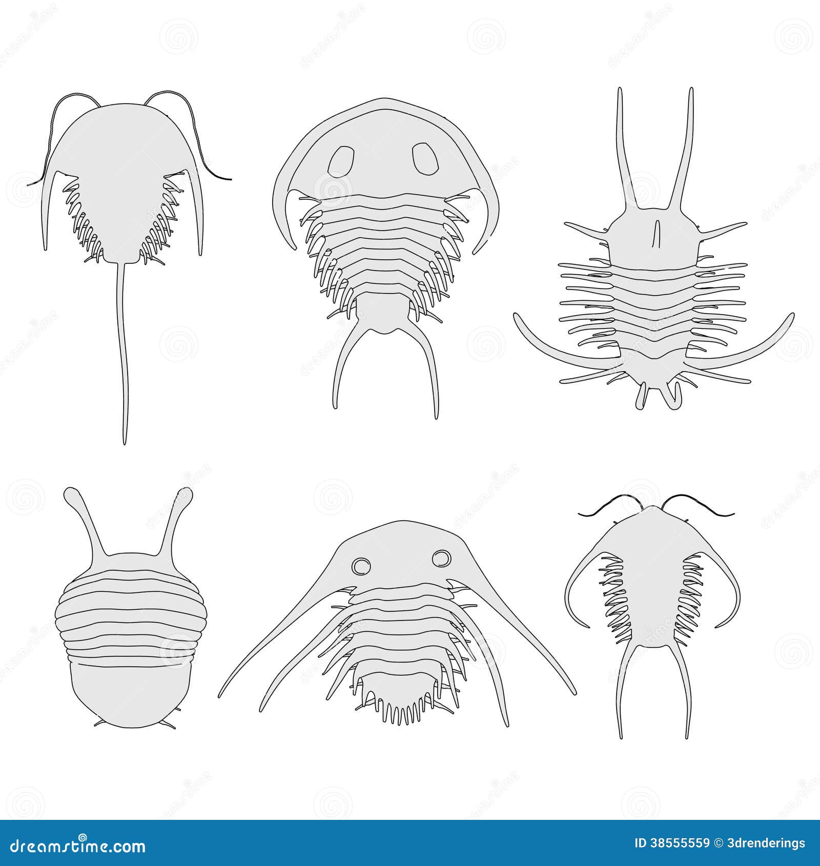 Image of trilobite animals stock illustration. Illustration of insect ...