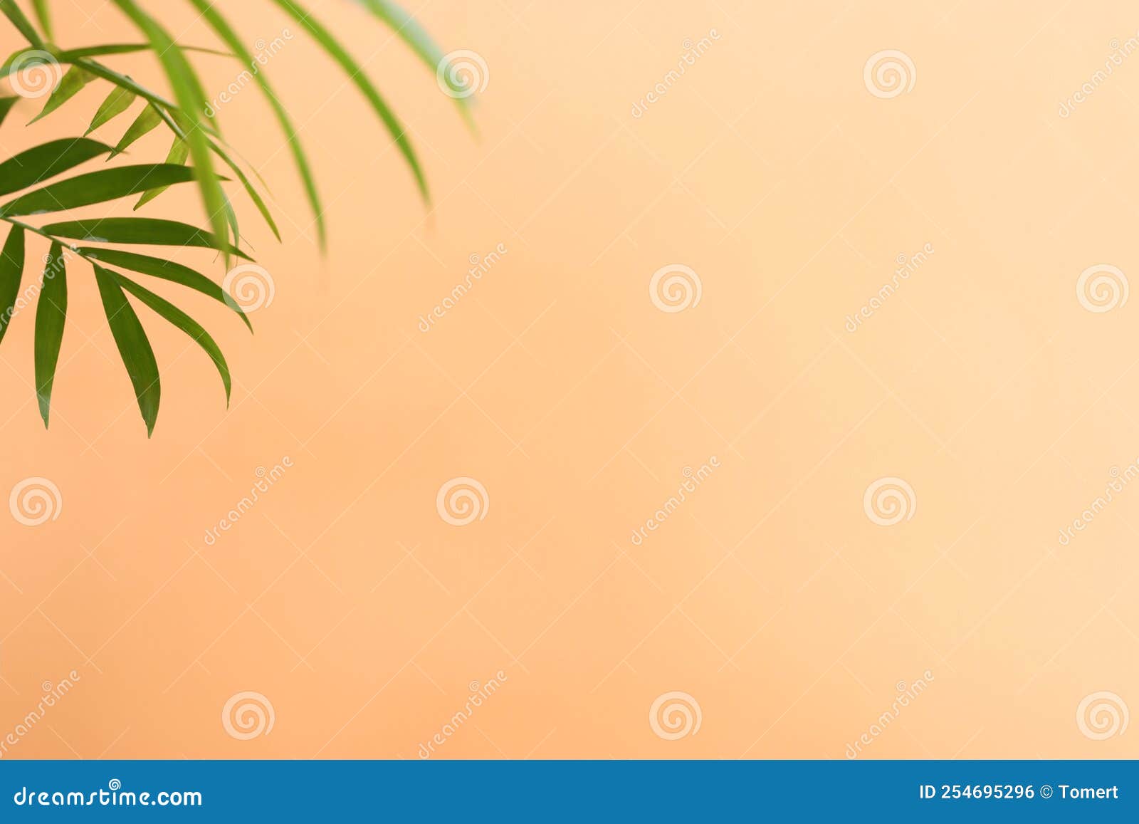 Image of Tropical Green Palm Over Yellow Pastel Background Stock Photo ...