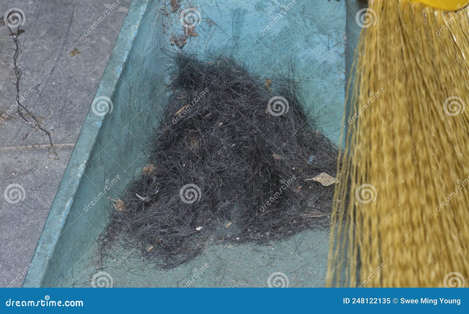 Tuft of Cut Hair in the Dustbin Stock Image - Image of dump, bunch ...