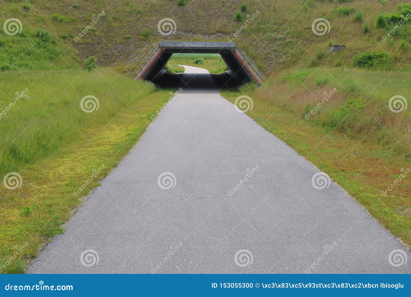 Image of Tunnel Under Road. Stock Photo - Image of tunnel, construction ...