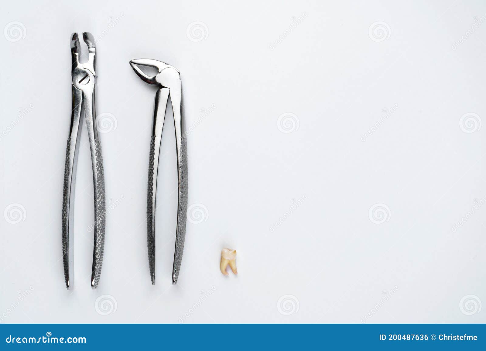Image of Two Dental Forceps with Tooth on Isolated White Background ...
