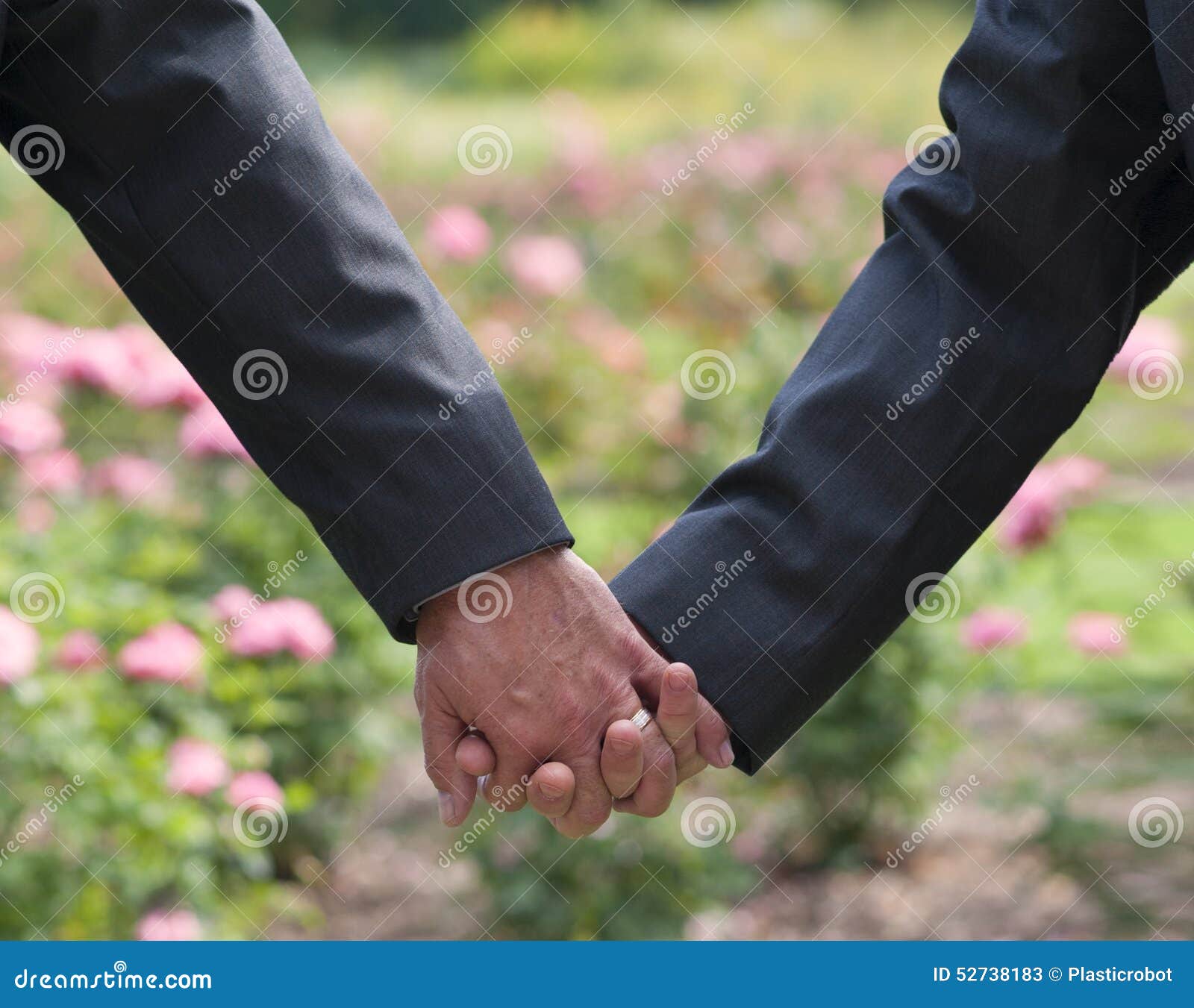 Image of Two Men Holding Hands at Gay Wedding Stock Image - Image of ...