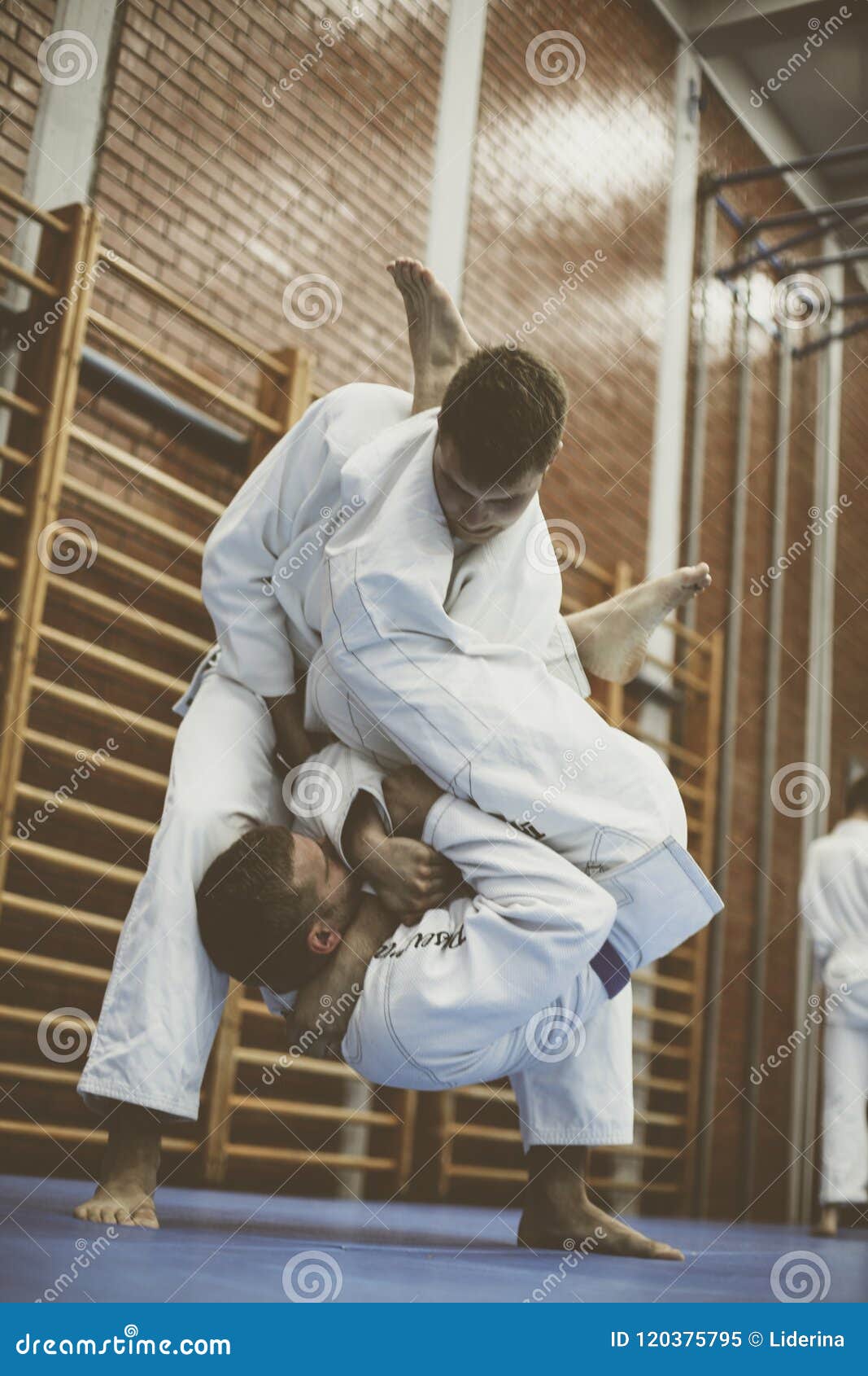 Image of Two Men Training Judo. Stock Image - Image of judo, people ...