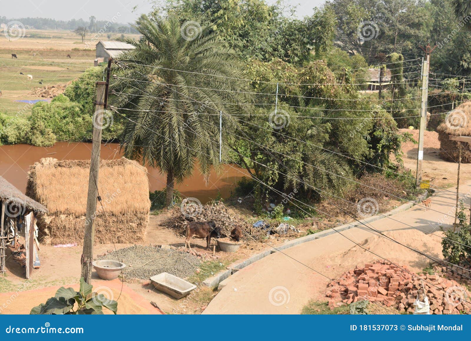 Image of a Typical Cemented Road Inside a Village in West Bengal Stock ...