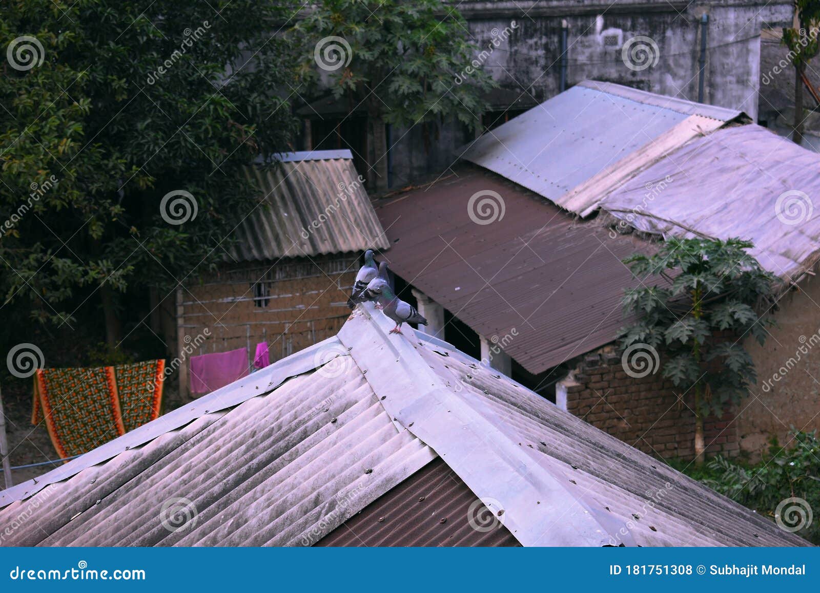 A Image of a Typical Village Hut with a Pigeon Sitting on the Rooftop ...