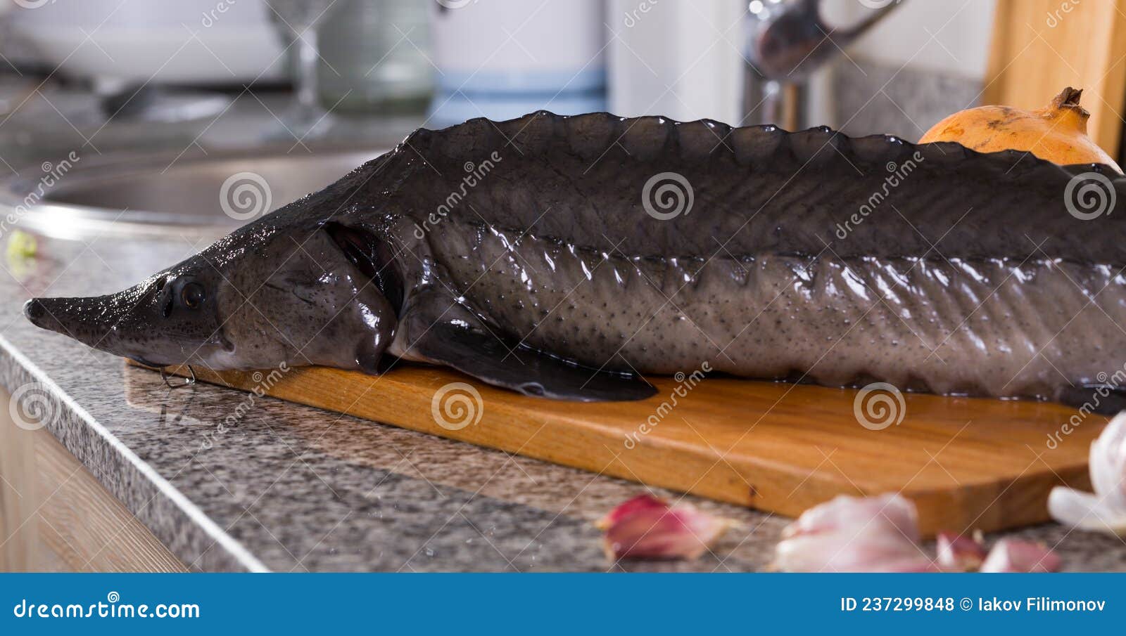 Uncooked Raw Sturgeon at Plate Laying on Table Stock Photo - Image of ...
