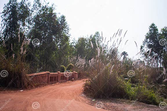 Image of a Underdeveloped Road in a Village Stock Image - Image of ...