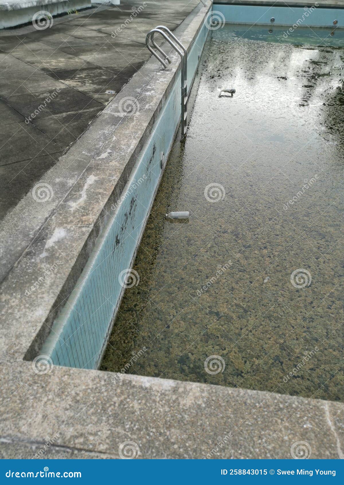 Unmaintained Outdoor Swimming Pool with Algae Floating on the Water ...