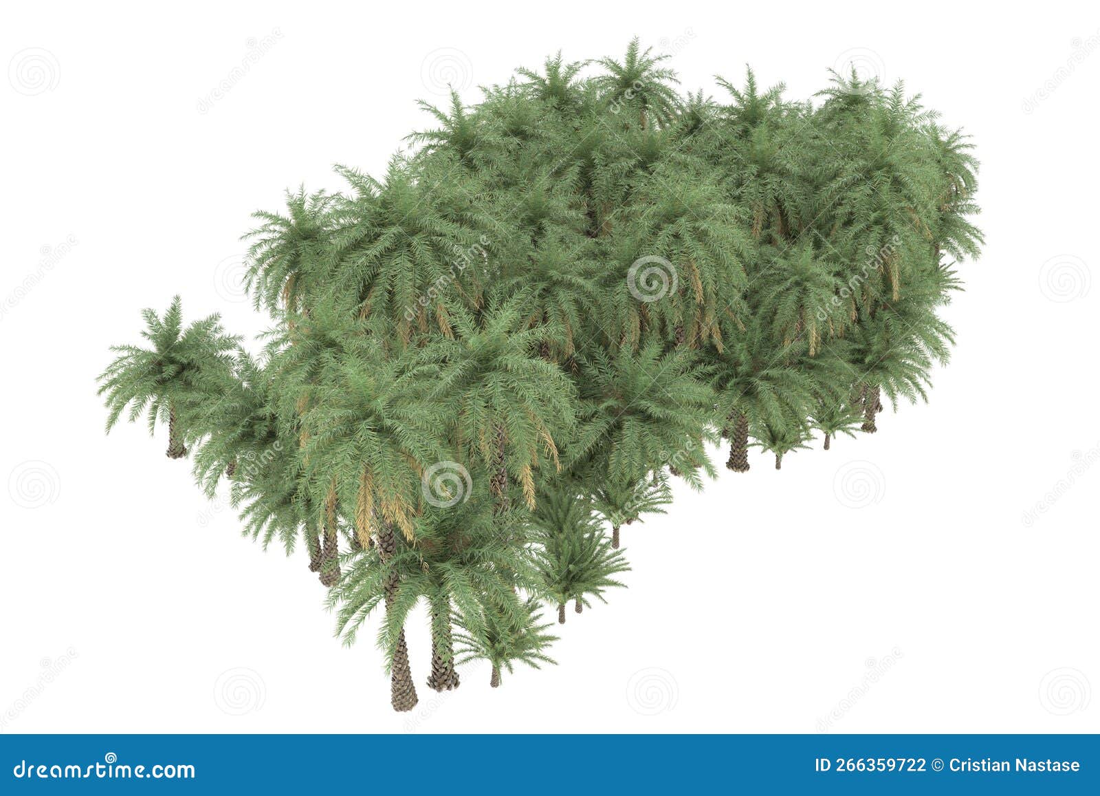 Tropical Tress Isolated on Background. 3d Rendering - Illustration ...