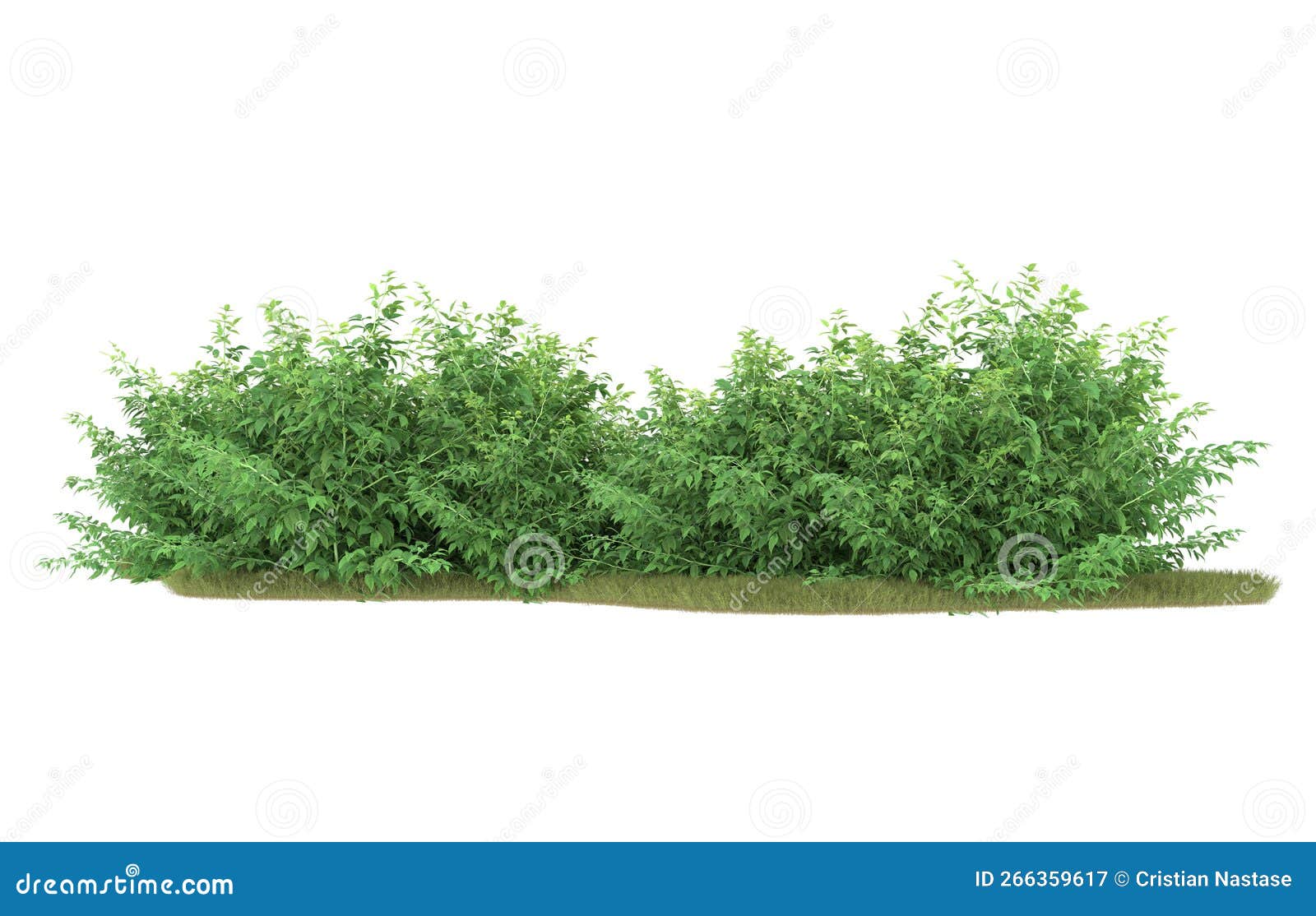 Realistic Foliage Isolated on Background. 3d Rendering - Illustration ...