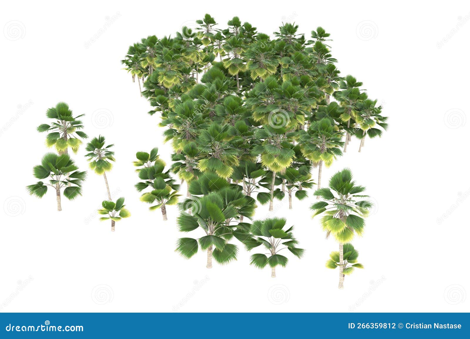 Tropical Tress Isolated on Background. 3d Rendering - Illustration ...