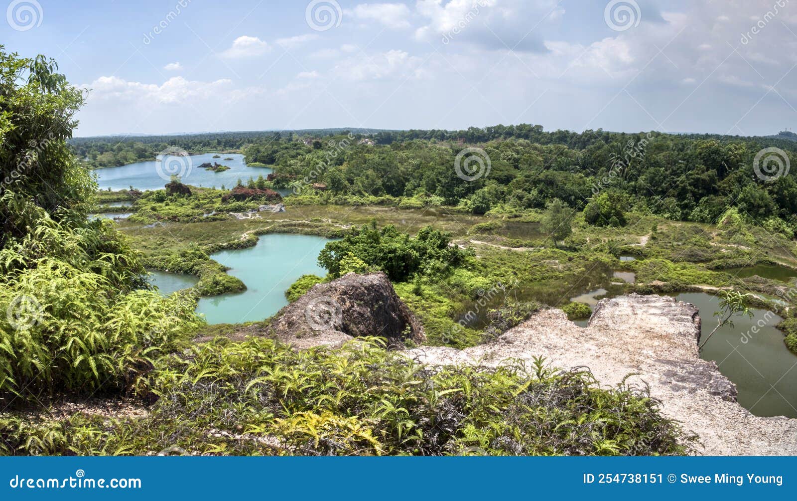 Vegetation Around the Abandoned Mine Pond. Stock Image - Image of ...