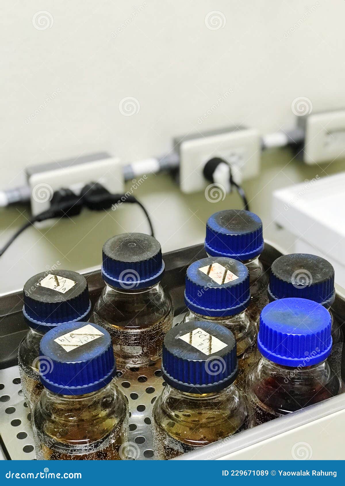 Image of a Vial of Agar Medium Incubated Stock Image - Image of clinic ...