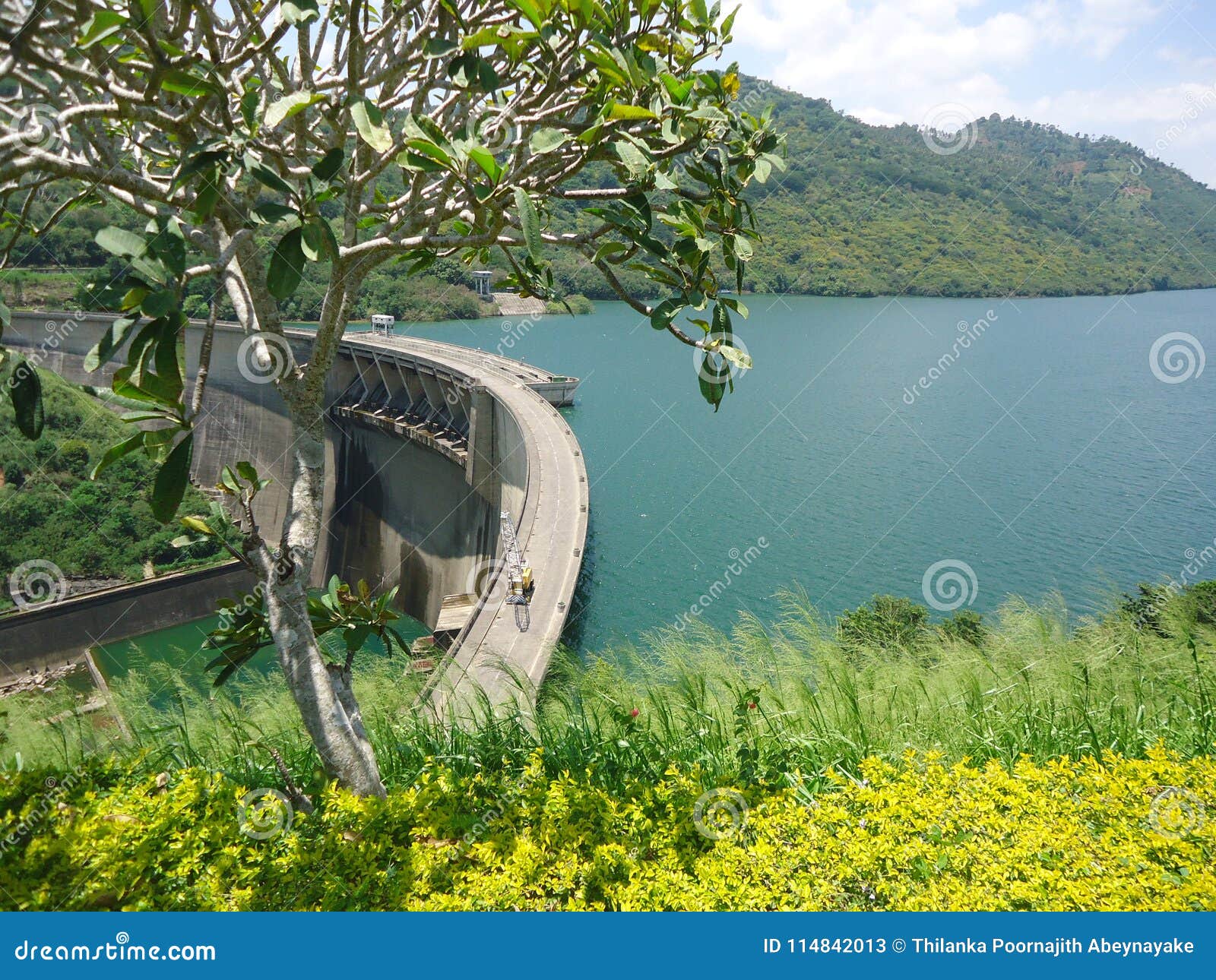 Victoria dam sri lanka editorial stock photo. Image of road - 114842013