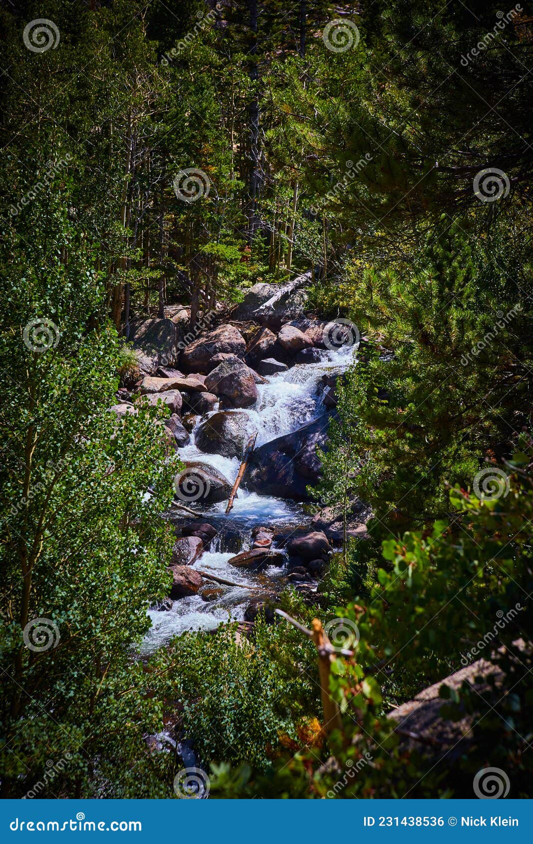 View through Trees of Rapids River Over Rocks Stock Photo - Image of ...