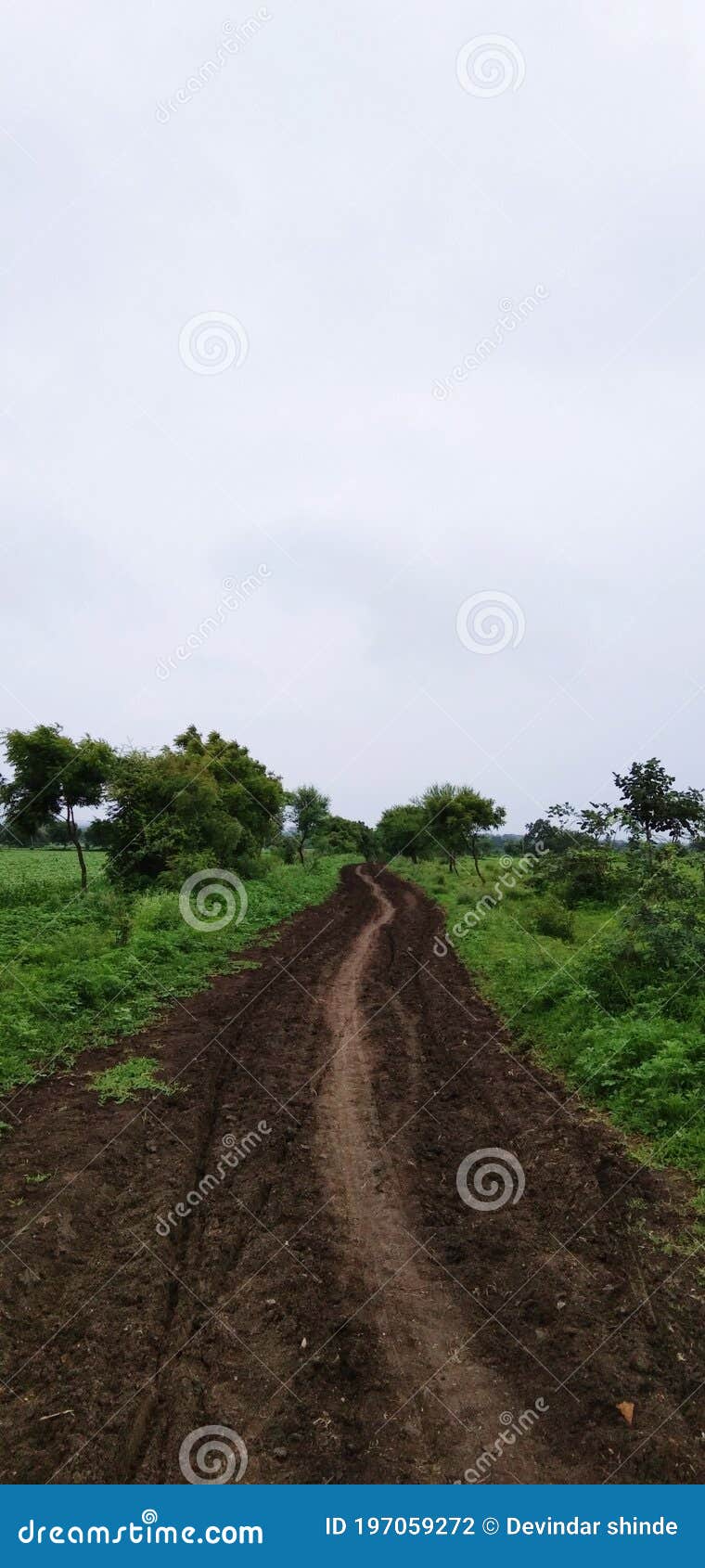 Image of Village road stock photo. Image of road, field - 197059272