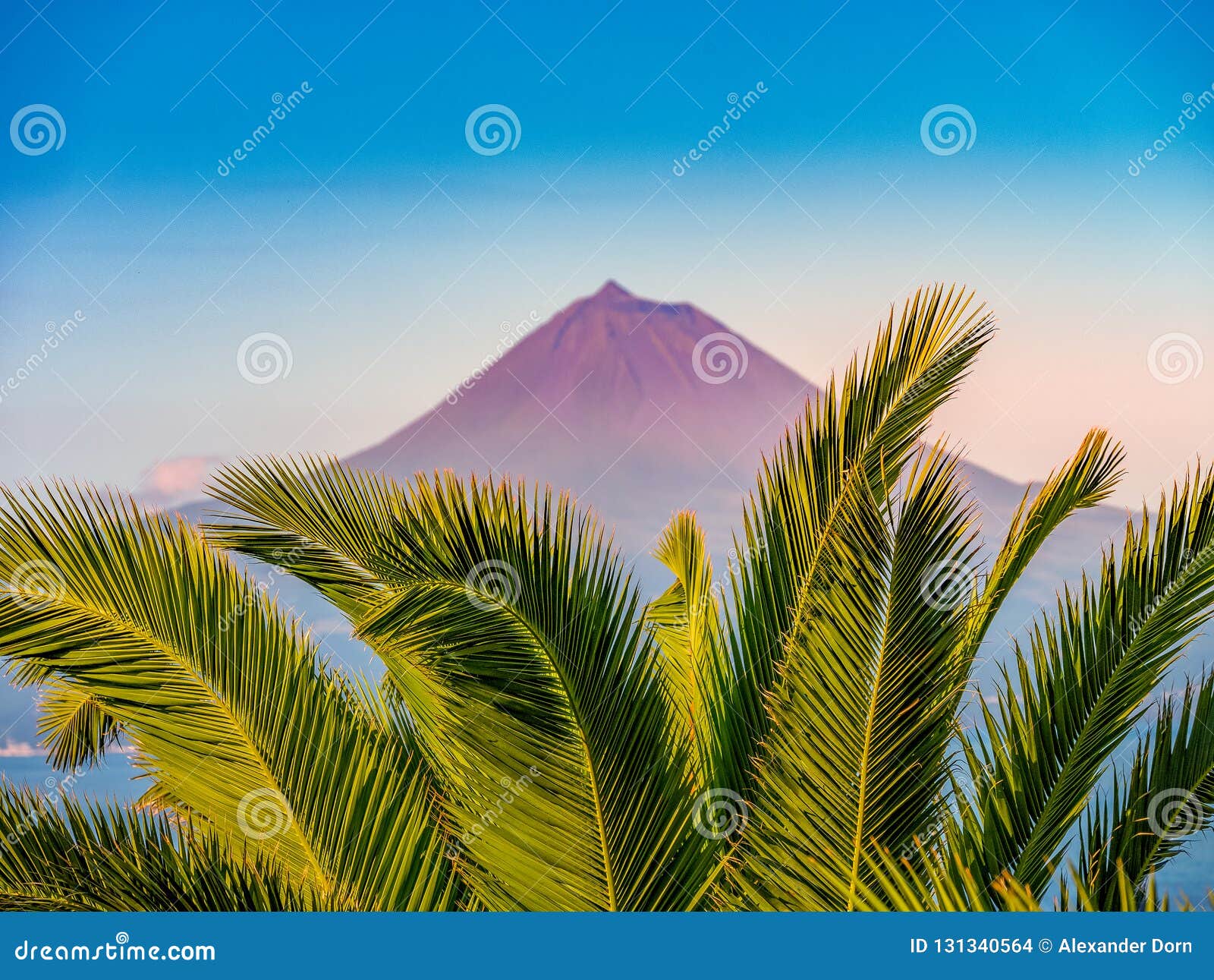 Image of the Volcano Mountain of Pico with Palm Trees in the Foreground ...